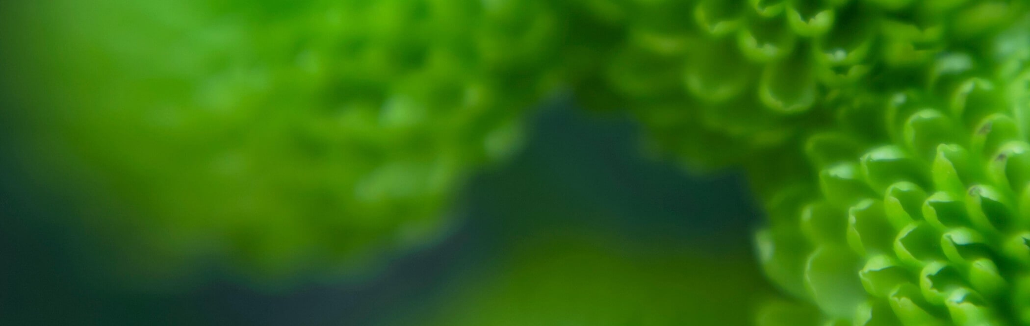 Fresh picks - The latest and greatest imagery from Alamy