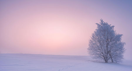 Fresh picks - The latest and greatest imagery from Alamy