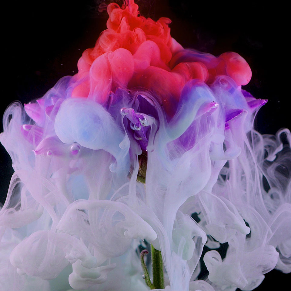 Fuel your AI models with Alamy's Access Collection